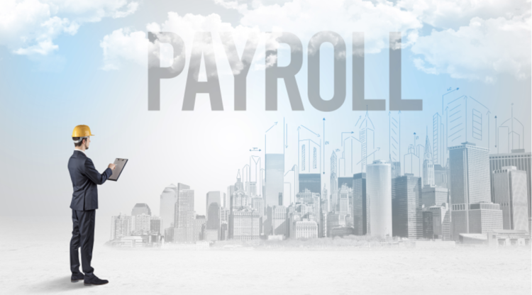 Automated Construction Payroll Software – Primo Umbrella